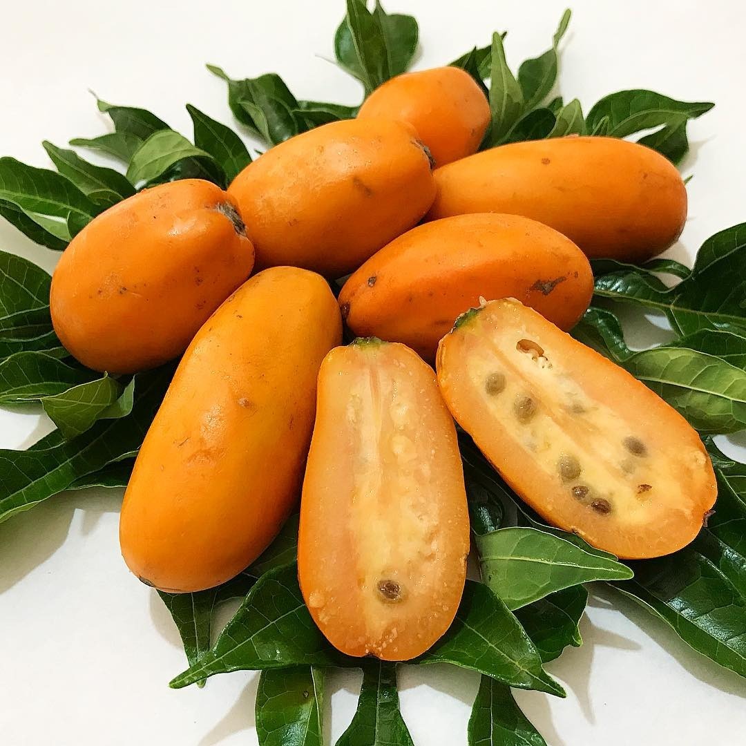 Conheça o jaracatiá: uma fruta brasileira - Agron Food Academy