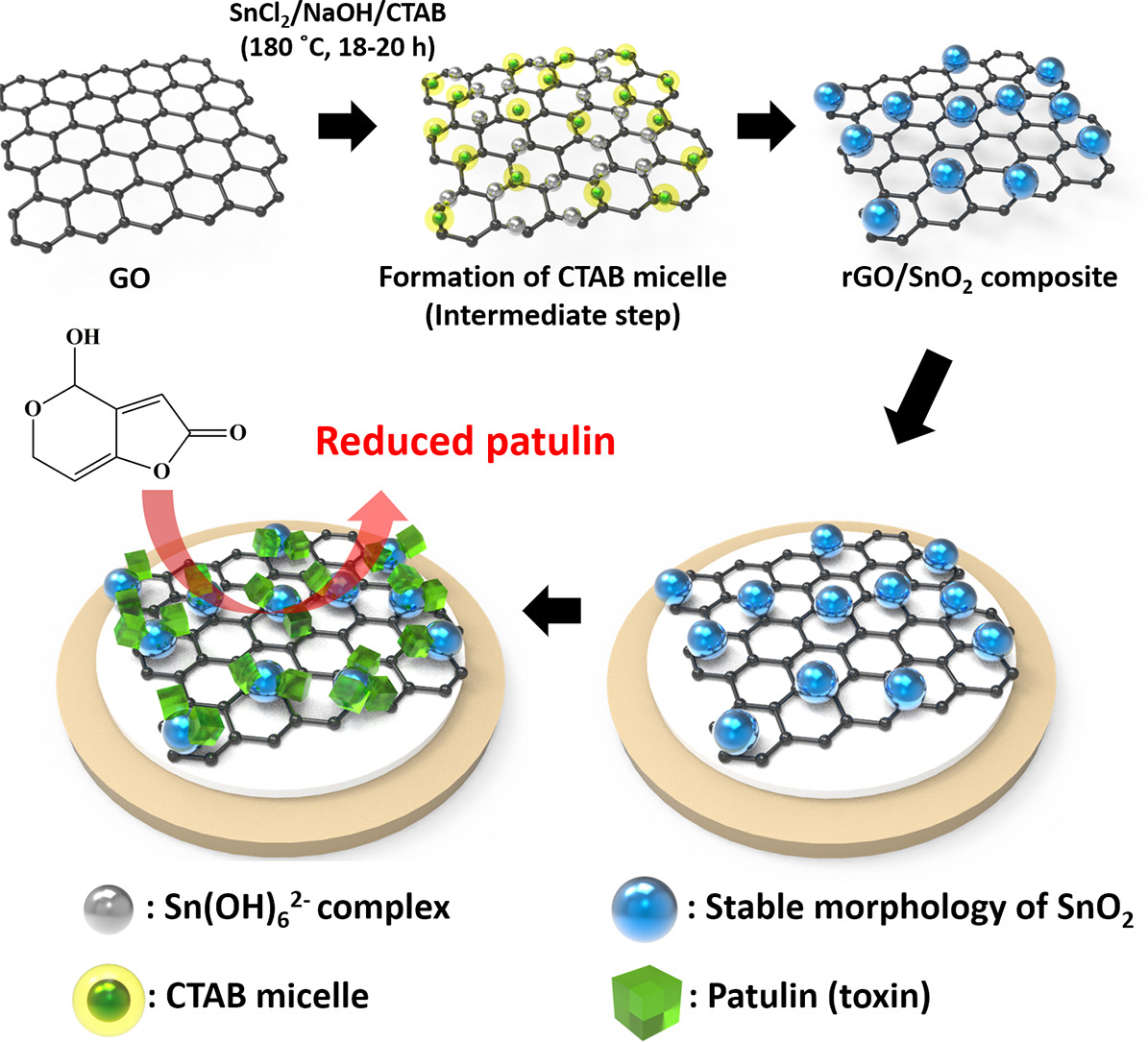 Pesquisadores desenvolveram biosensor capaz de detectar a micotoxina ...