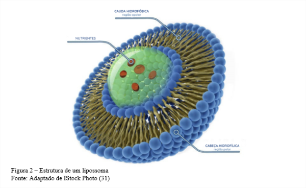 TÉCNICAS DE SÍNTESE DE LIPOSSOMAS APLICADOS À BACTERIOCINAS